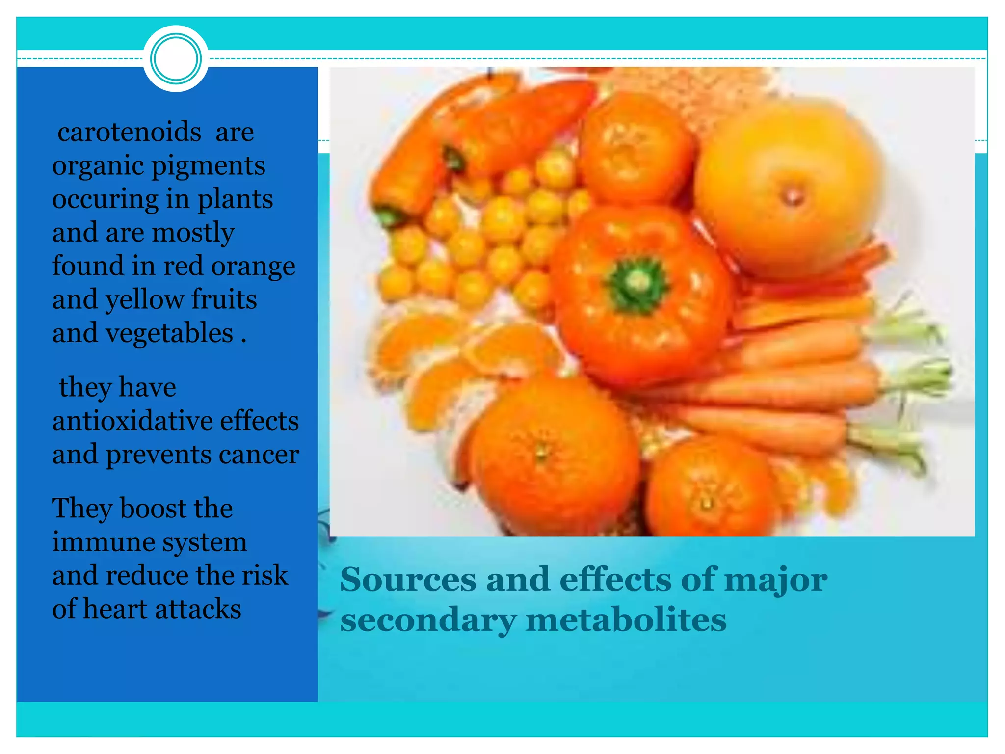 SECONDARY METABOLITE PRODUCTION.pdf