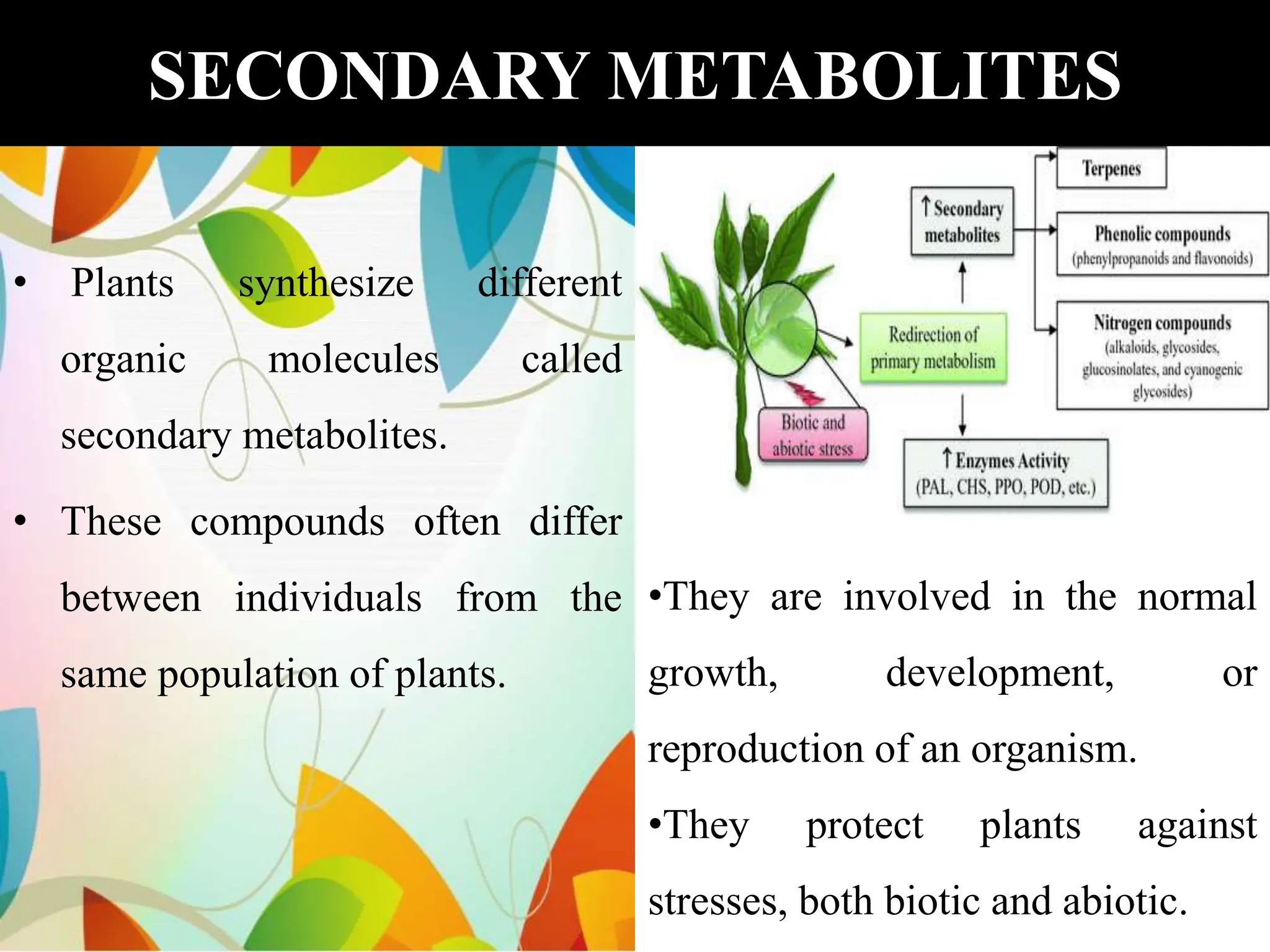 PLANT SECONDARY METABOLITES IN PLANTS AND THEIR SIGNIFICANCE | PPTX