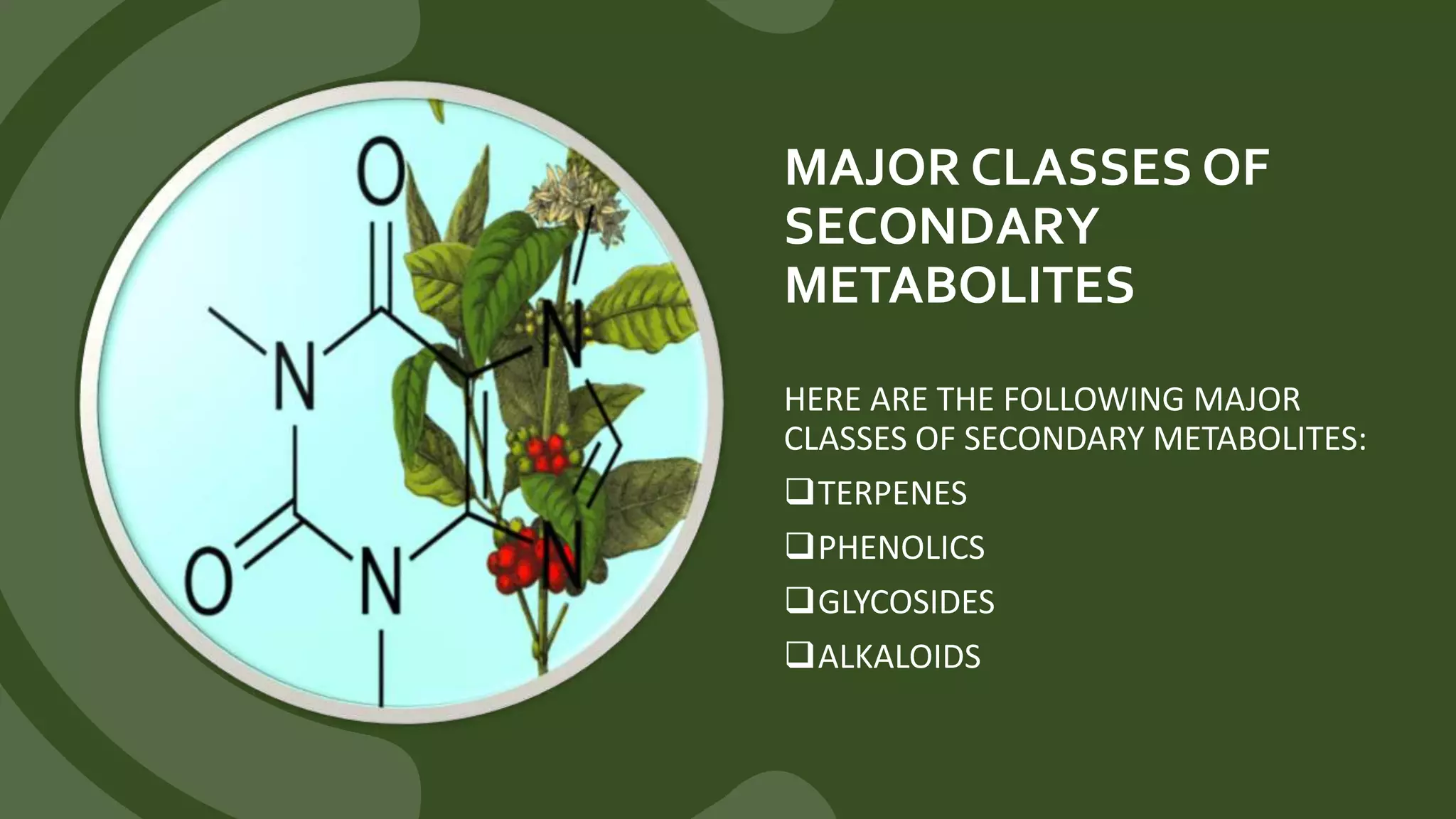 Secondary metabolites plants | PPTX