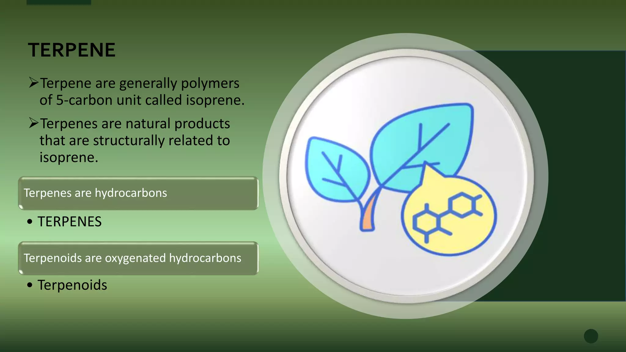 Secondary metabolites plants | PPTX