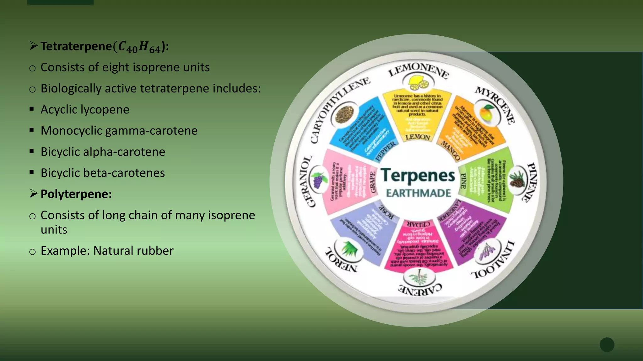 Secondary metabolites plants | PPTX