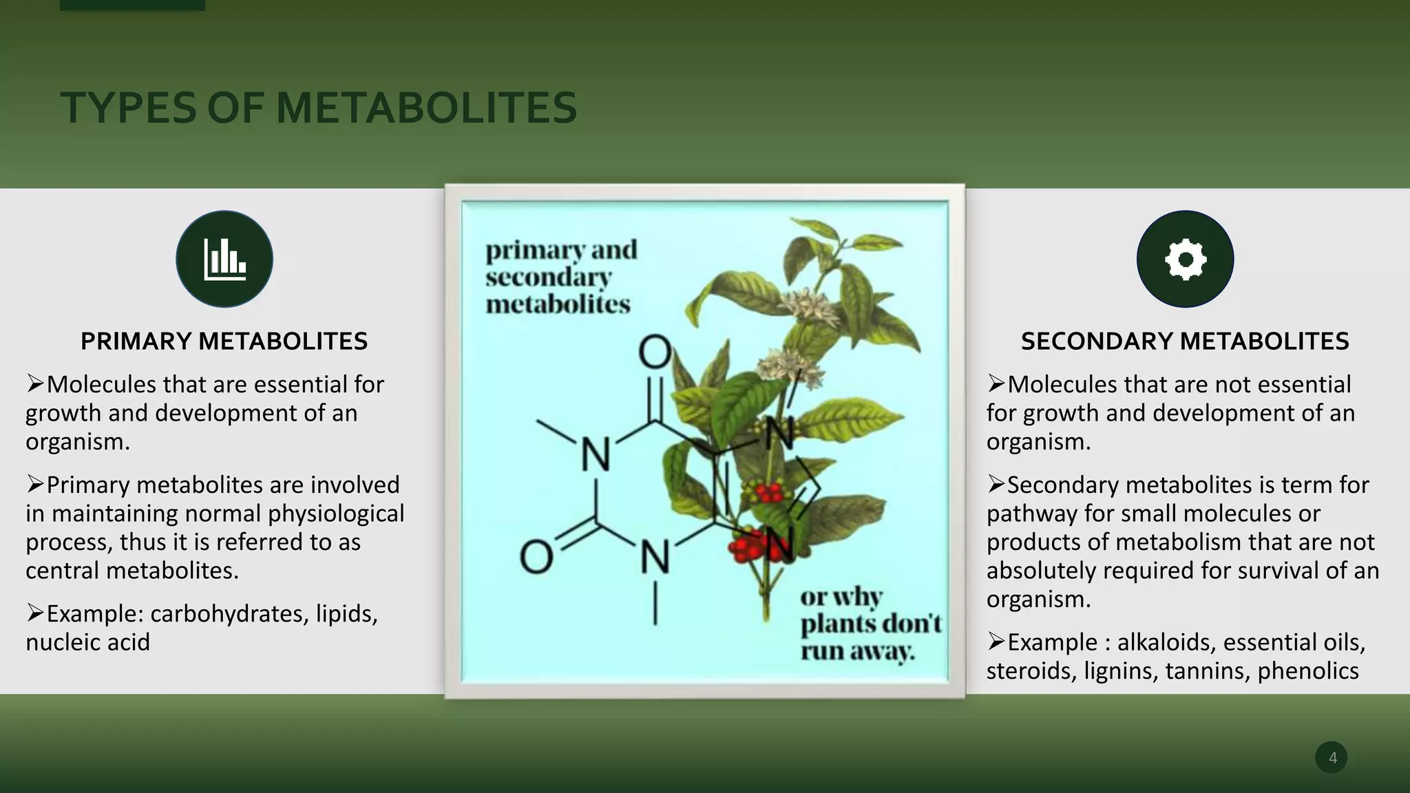 Secondary metabolites plants | PPTX