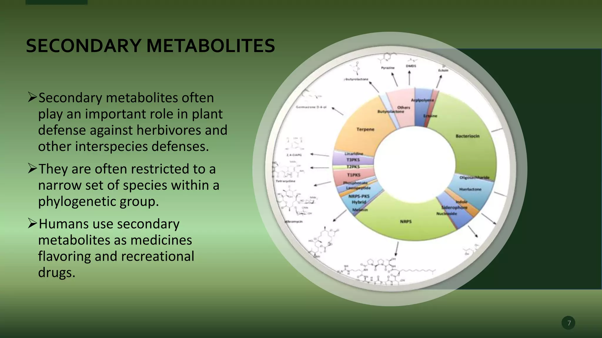 Secondary metabolites plants | PPTX