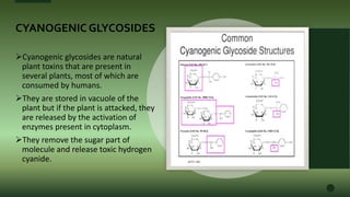 Secondary metabolites plants | PPT
