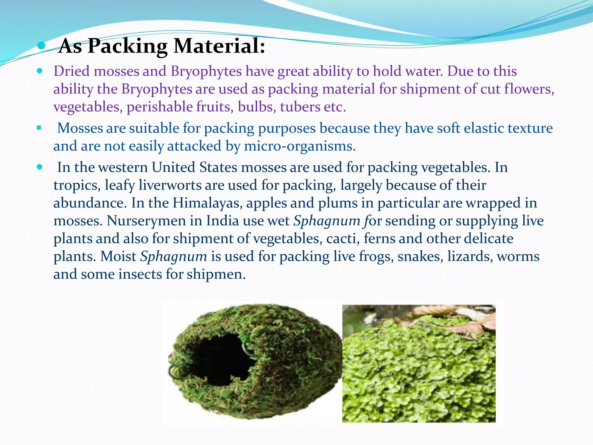 Secondary metabolites in bryophytes..by nikita pathania | PPTX