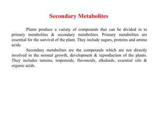 Secondary metabolites ppt (1).pptx