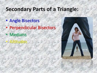 Secondary Parts of Triangles | PPTX