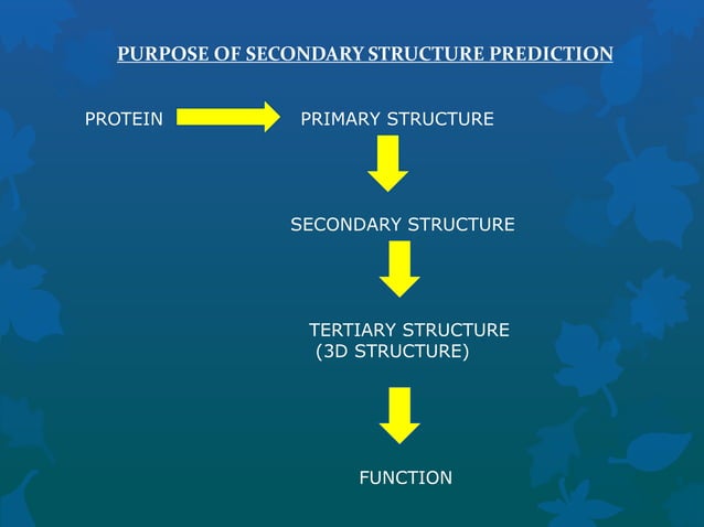 Secondary Protein Structure Prediction Ppt 