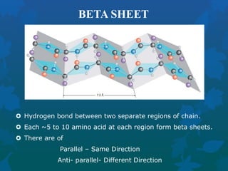Secondary protein structure prediction | PPTX