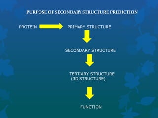 Protein Secondary Structure Prediction