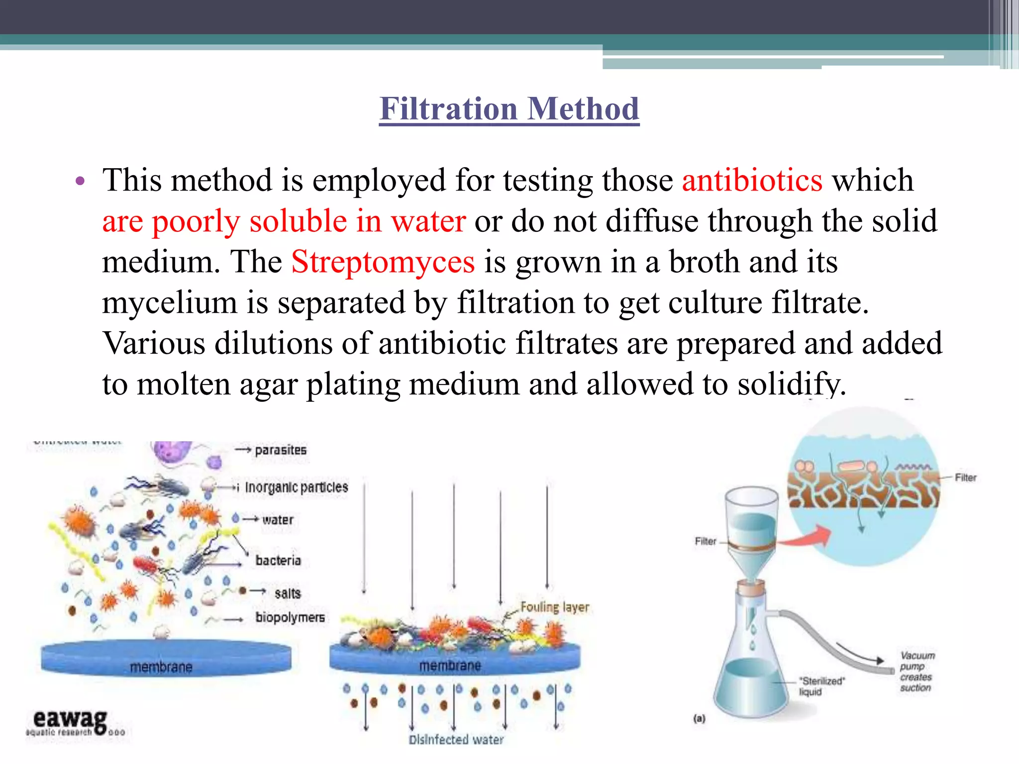 Secondary screening of industrial important microbes | PPTX