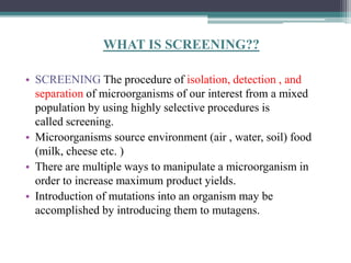Secondary screening of industrial important microbes | PPTX