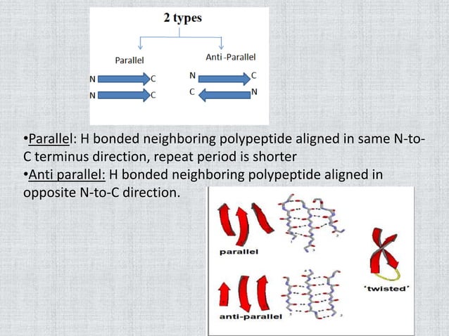 Secondary Structure Of Protein (Repeating structure of protein) | PPTX