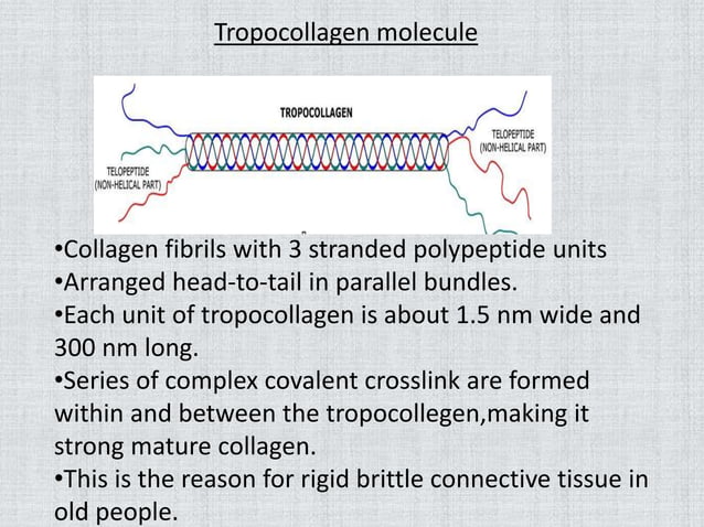 Secondary Structure Of Protein (Repeating structure of protein) | PPTX