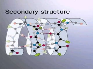 Secondary Structure Of Protein (Repeating structure of protein) | PPTX