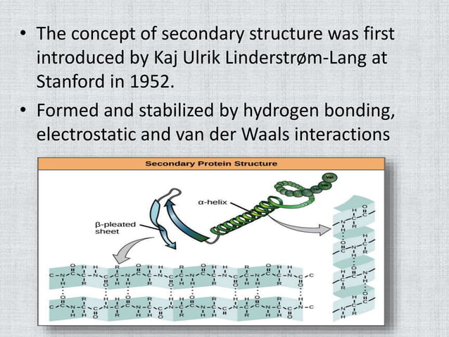 Secondary Structure Of Protein (Repeating structure of protein) | PPTX