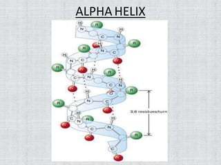Secondary Structure Of Protein (Repeating structure of protein) | PPTX