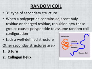Random Coil