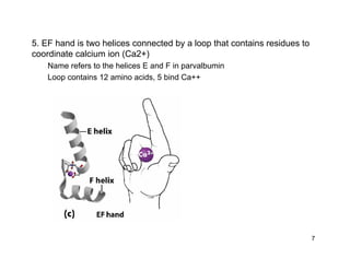 secondary_structure_of_protein)rkk_biok.pdf