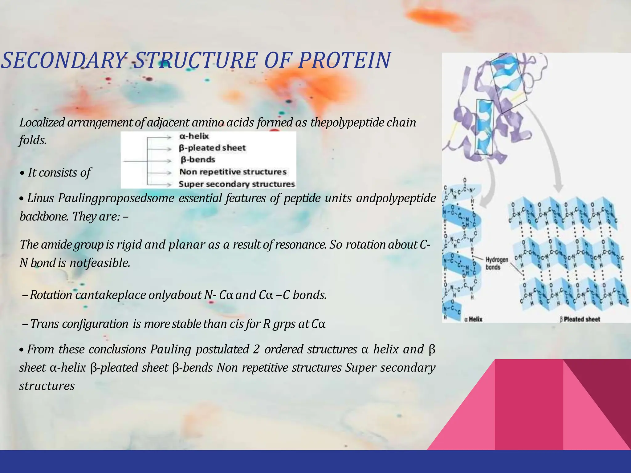 secondarystructureofproteins-210323094357.pptx