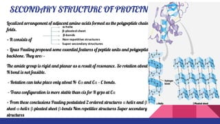 Secondary structure of proteins | PPTX
