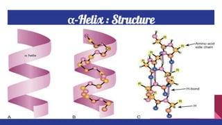 Secondary structure of proteins | PPTX