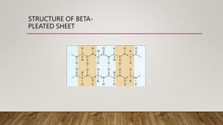 Secondary structure of proteins.pptx | Chemistry | Science