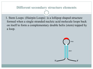 Secondary structure of rna and its predicting elements | PPTX
