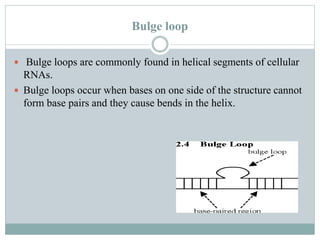 Secondary structure of rna and its predicting elements | PPTX