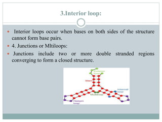 Secondary structure of rna and its predicting elements | PPTX
