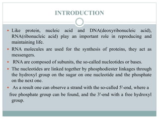 Secondary structure of rna and its predicting elements | PPTX