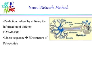 Secondary structure prediction | PPT