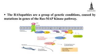 Rasopathies | PPTX