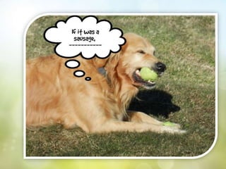 Second Conditional – Comic-style exercises | PPTX