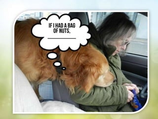 Second Conditional – Comic-style exercises | PPTX