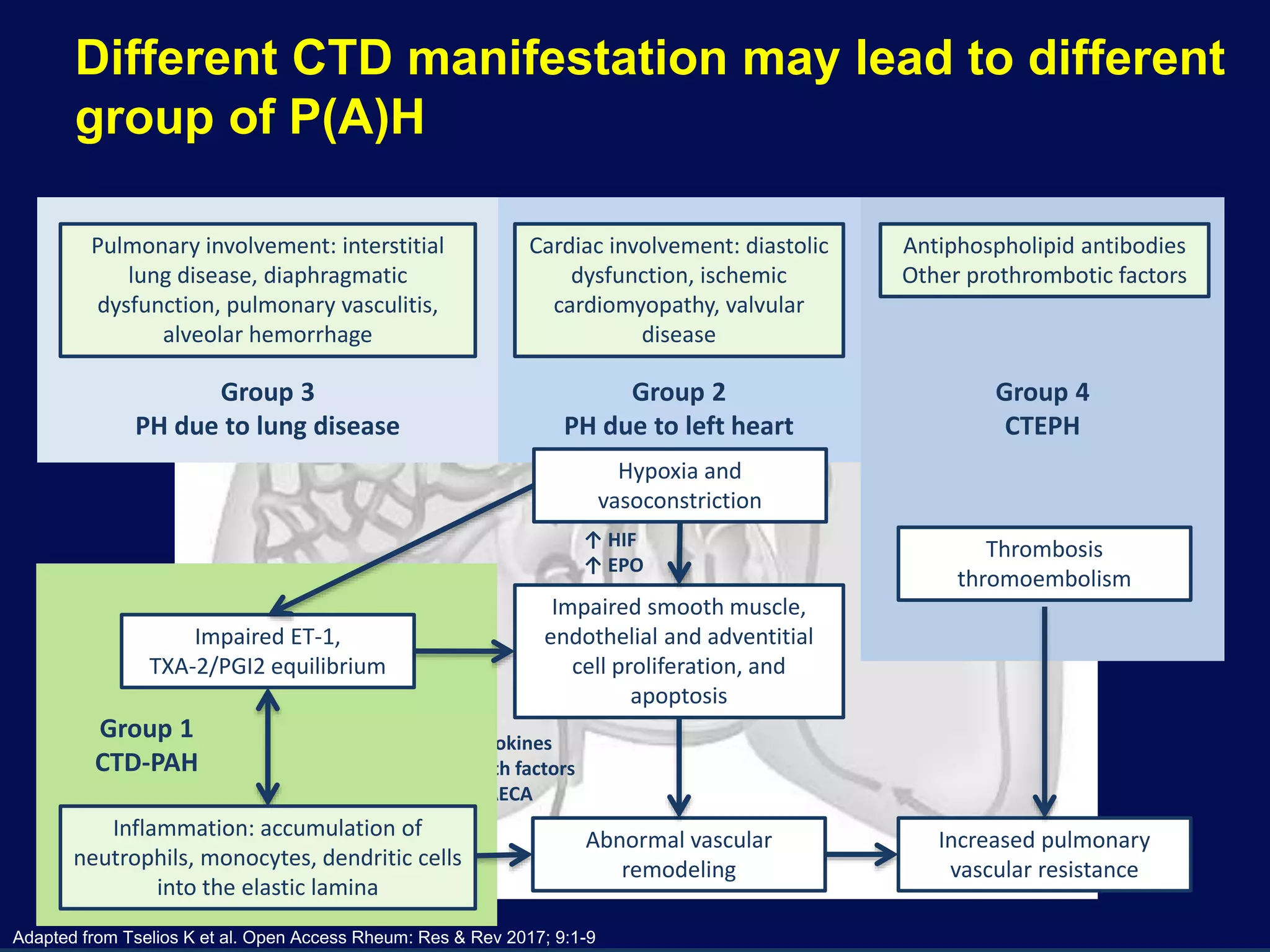Current diagnosis and management of PAH from cardiologist point of view ...