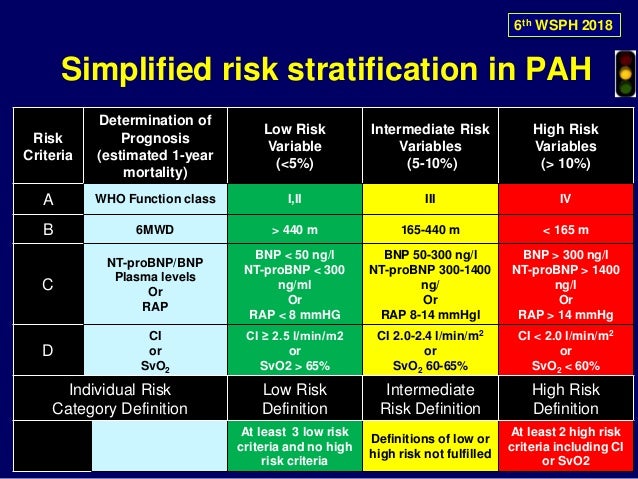 Current diagnosis and management of PAH from cardiologist point of vi…