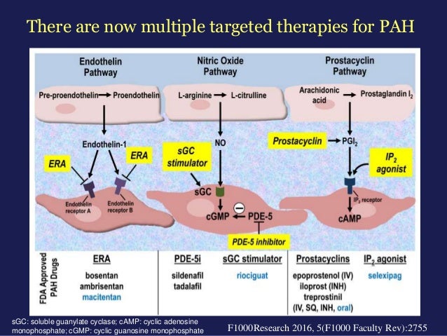 Current diagnosis and management of PAH from cardiologist point of vi…