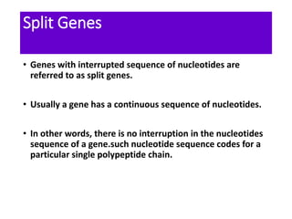 Second genetic code overlapping and split genes | PPTX