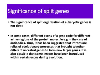 Second genetic code overlapping and split genes | PPTX