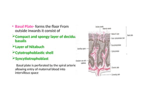 second lectore of IOL according the circullum .pptx