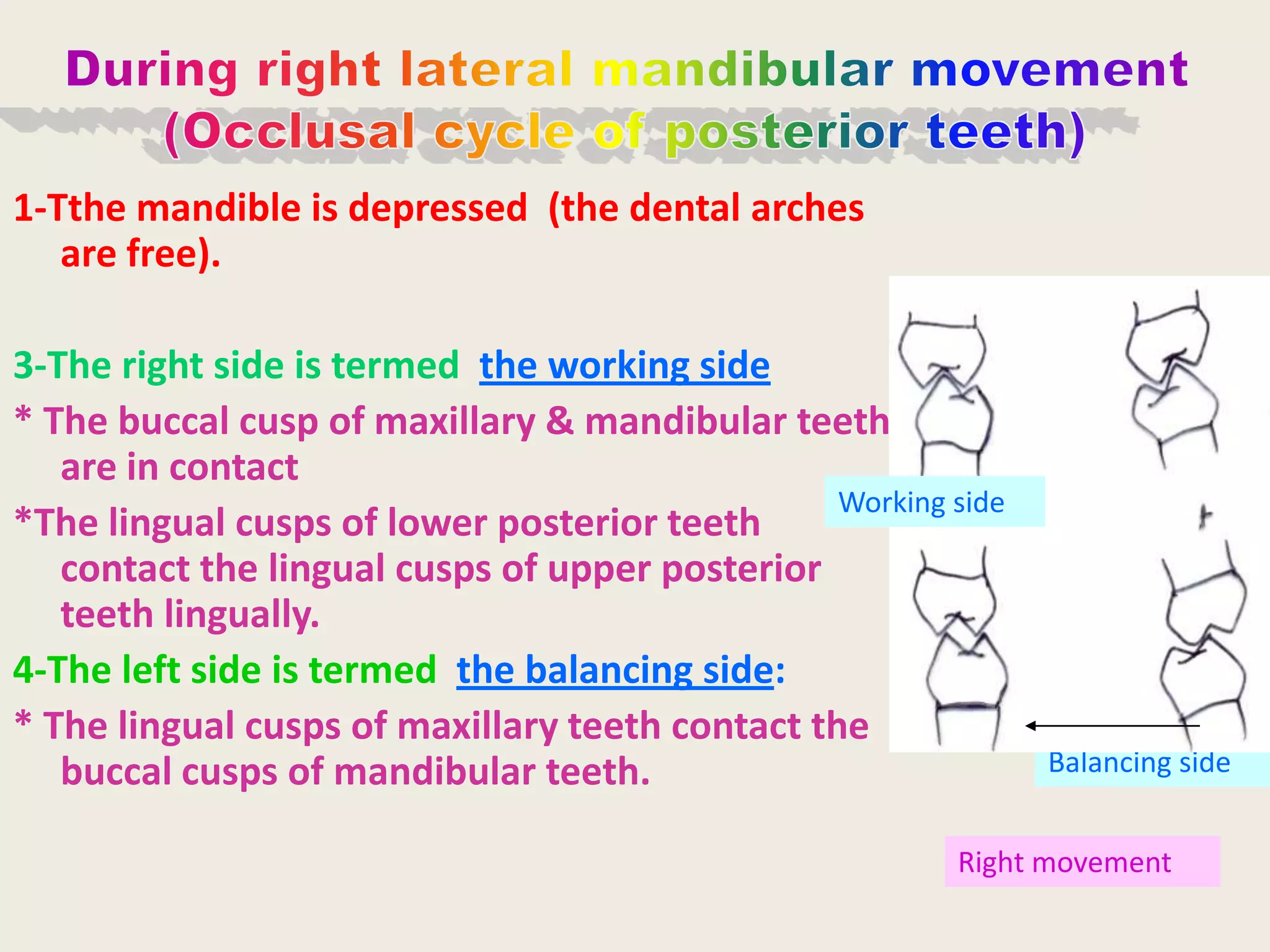 Mandible at Different Ages - Dentition | PPTX