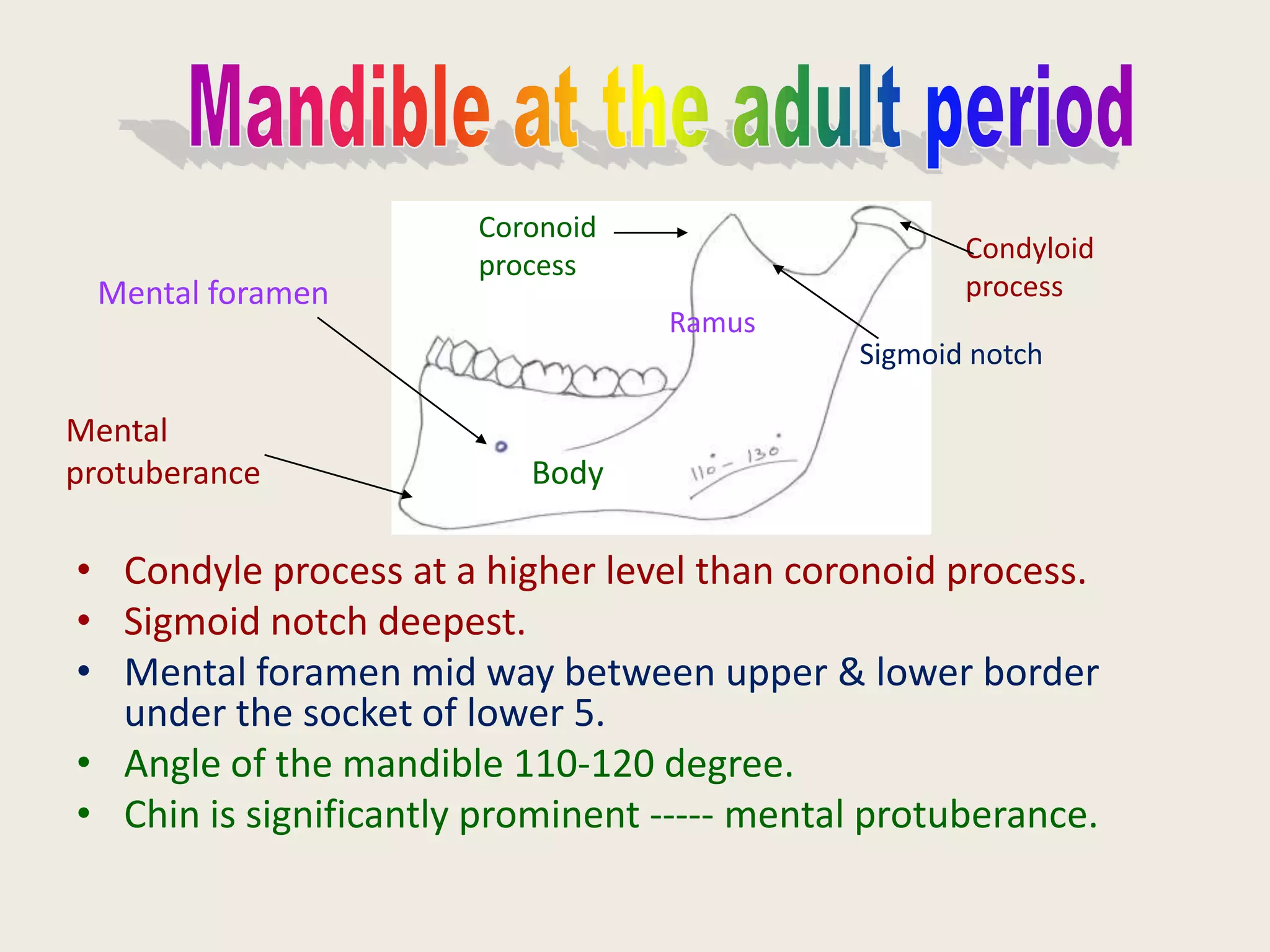 Mandible at Different Ages - Dentition | PPTX