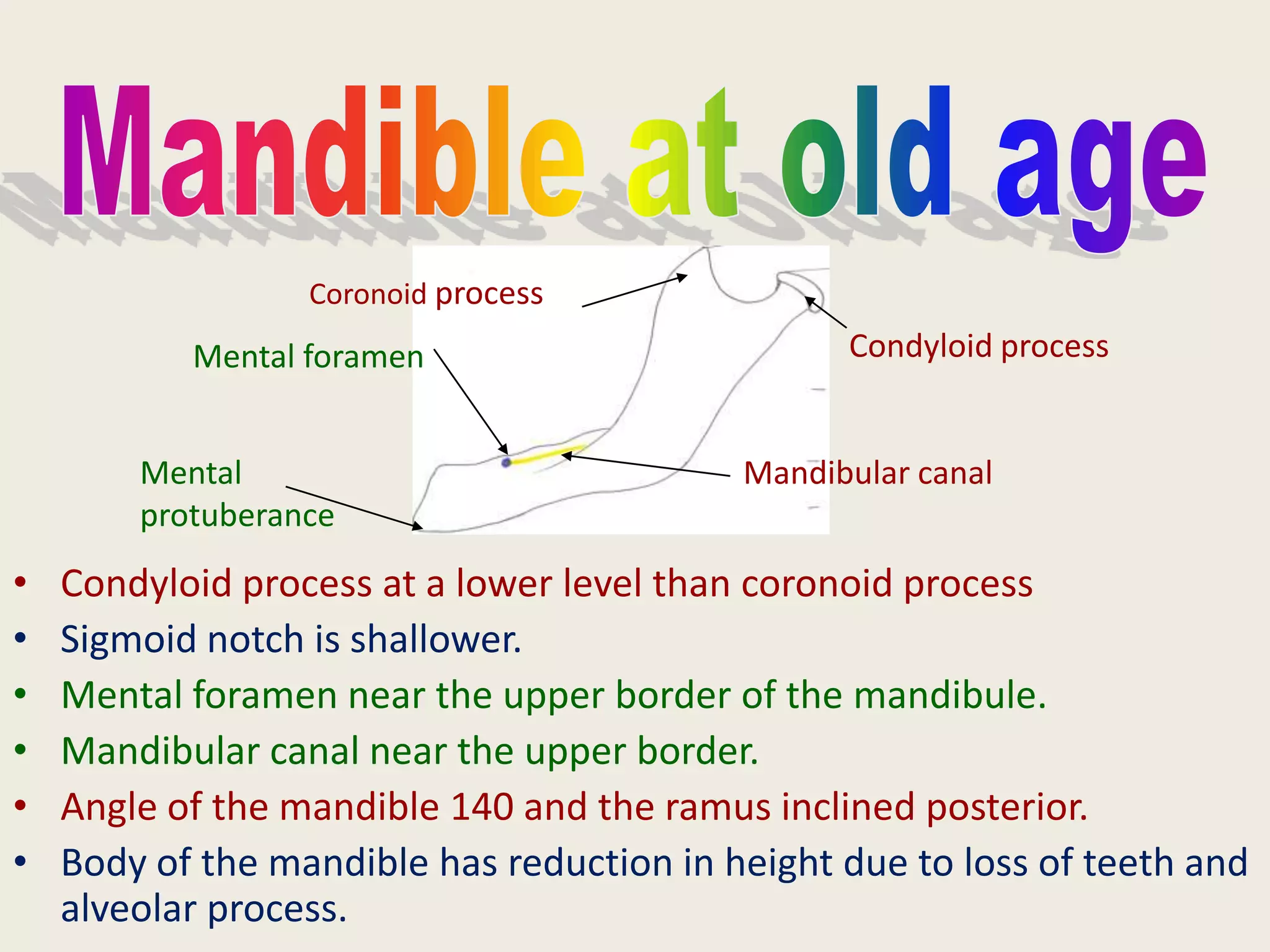 Mandible at Different Ages - Dentition | PPTX