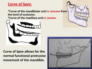 Mandible at Different Ages - Dentition | PPTX