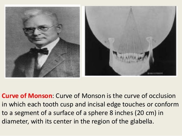 Mandible at Different Ages - Dentition