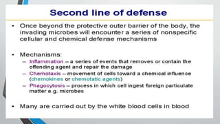 Seconed Line Of Defense