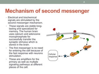 Second messenger | PPT