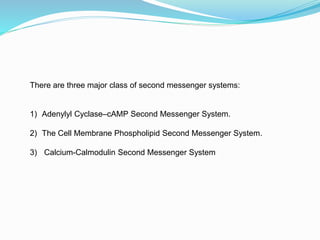 SECOND MESSENGER.pptx