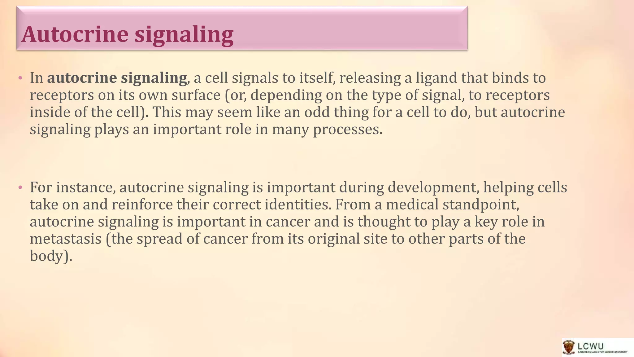 Second messenger and signal transduction pathways | PPT